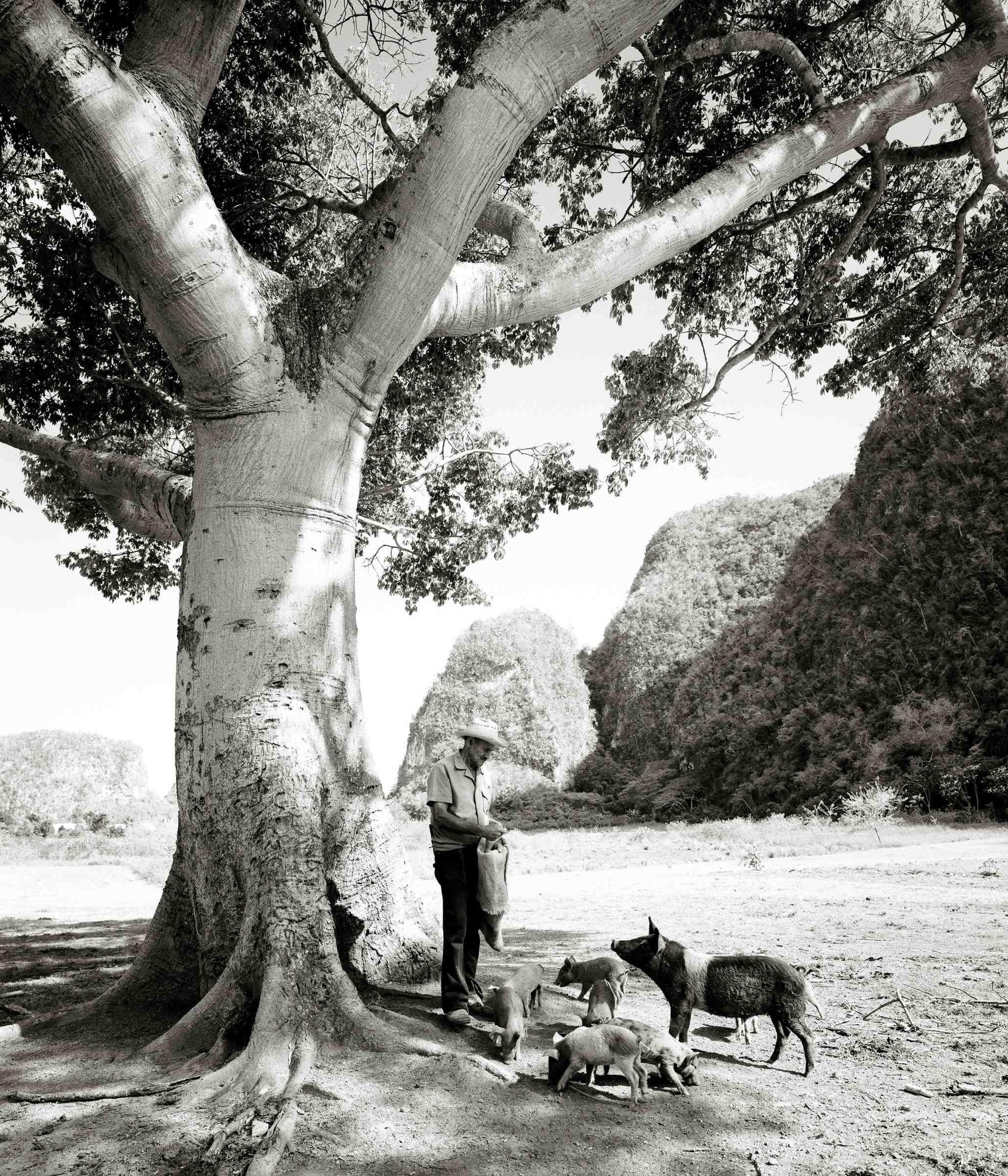 Chris Simpson – Mírame y sé color